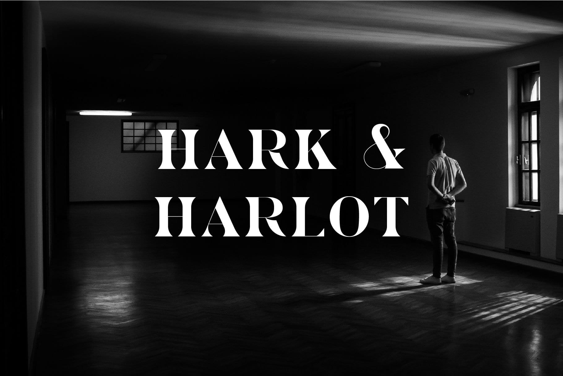 Stiahnite si The Modern Font Bundle za 29 dolárov! — DeTePe [dtp]