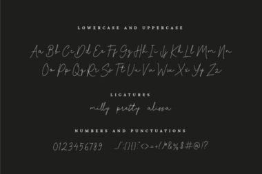 Stiahnite si zadarmo písmo Audina — DeTePe [dtp]