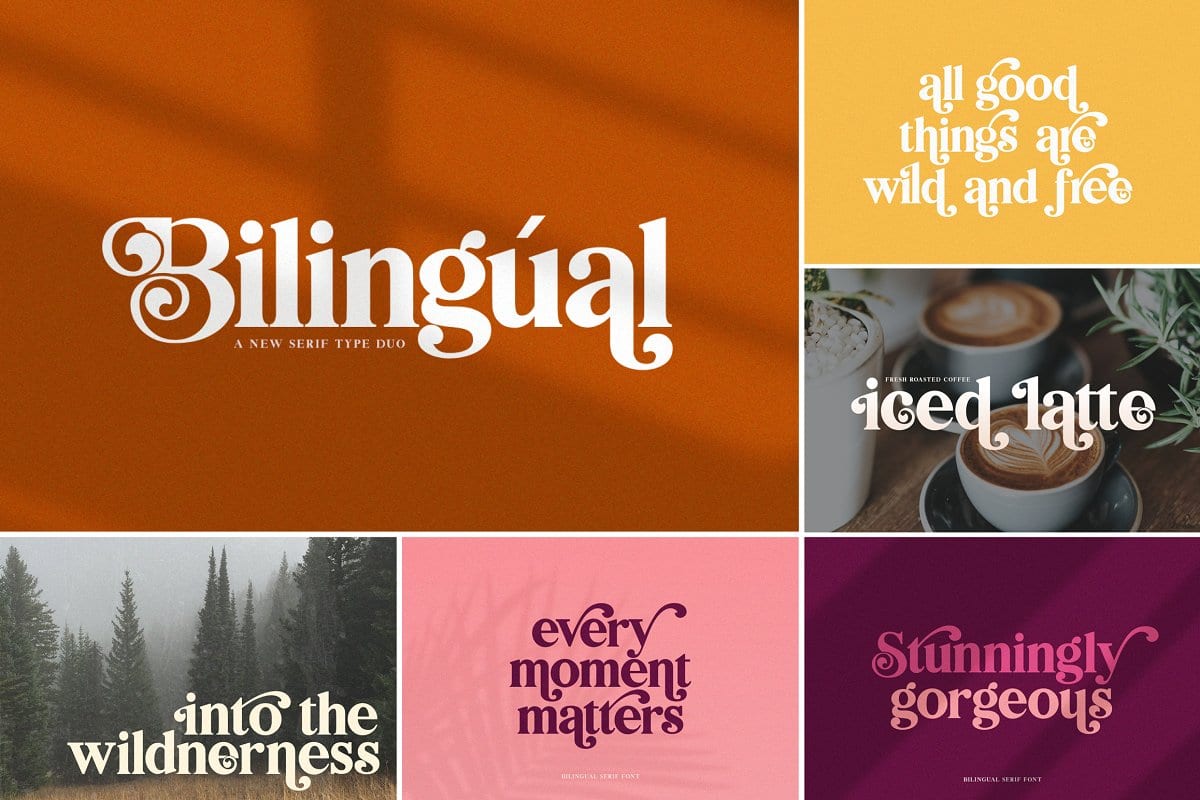 Stiahnite si The HUGE Font Bundle za 19 dolárov! – DeTePe [dtp]