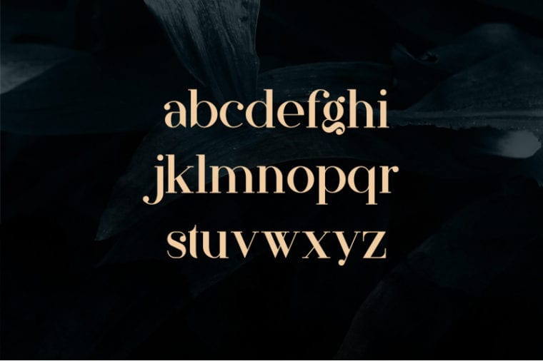 Stiahnite si elegantné písmo Papillon s 50% zľavou — DeTePe [dtp]