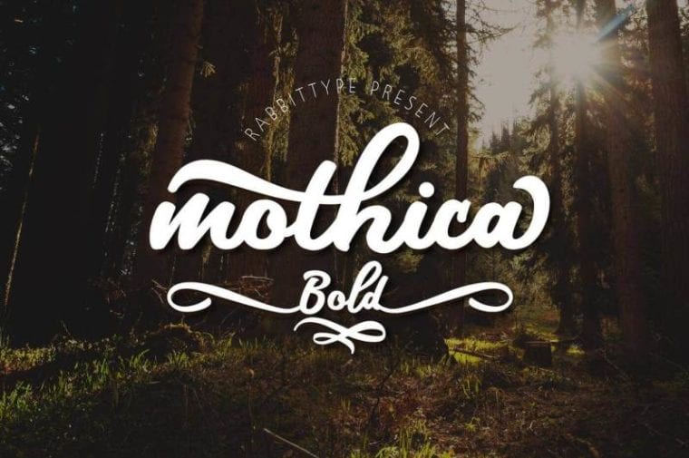 Stiahnite si balík fontov v hodnote 104 dolárov bezplatne! – DeTePe [dtp]