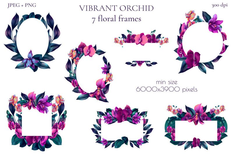 Stiahnite si bezplatne set vodovkových orchideí — DeTePe [dtp]