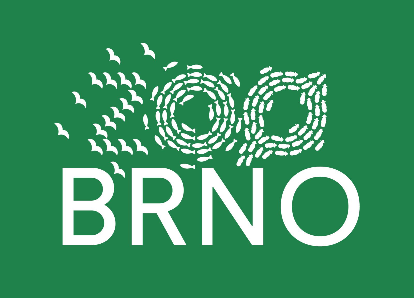 Jsme jedna smečka. Zoo Brno oslavuje novou vizuální identitou ...