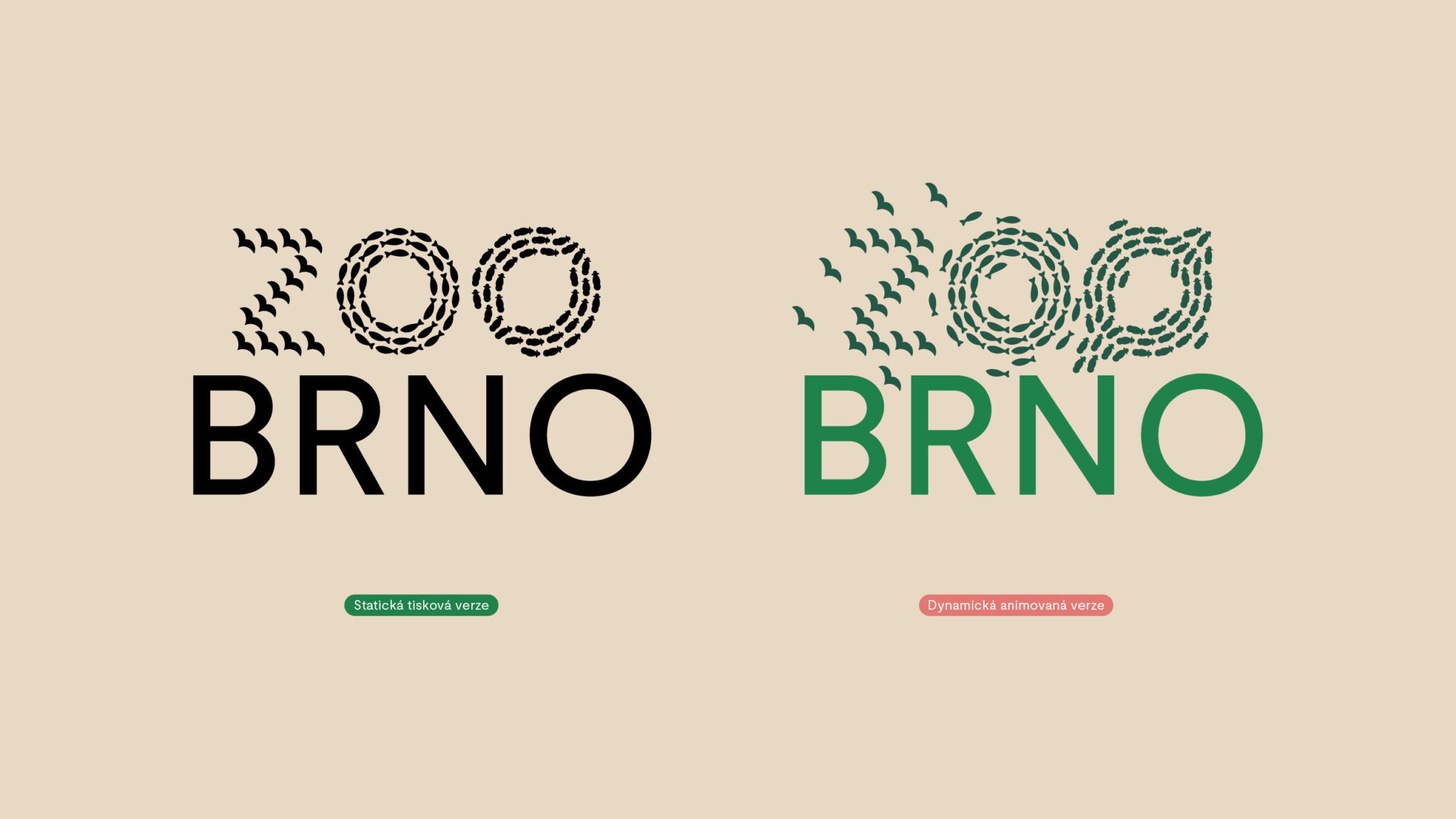 Jsme jedna smečka. Zoo Brno oslavuje novou vizuální identitou ...